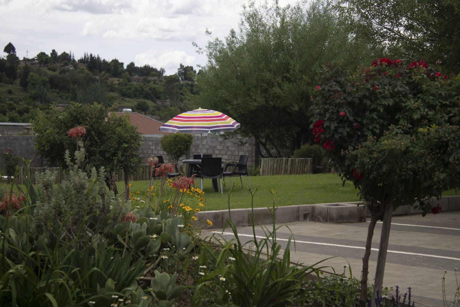 Our Surrounding – Royal Spring