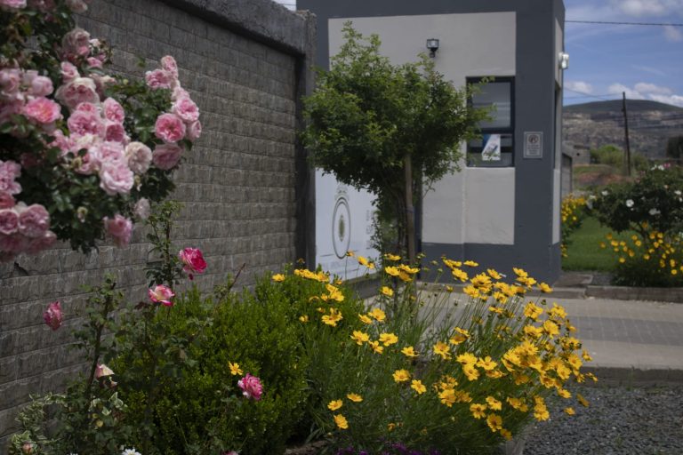 Our Surrounding – Royal Spring